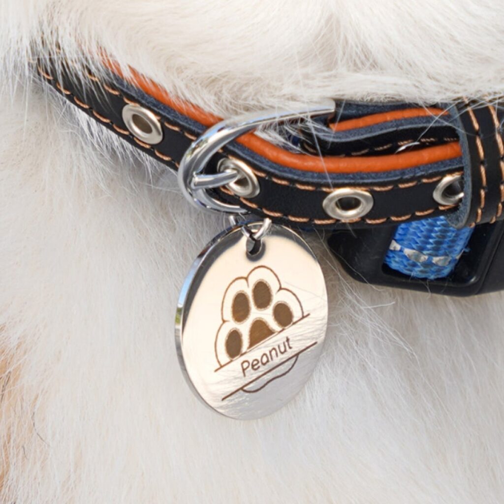 Bambu Lab H2D Combo - AzureFilm